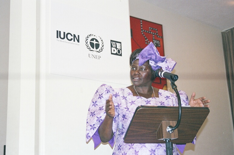 Remembering Wangari- In Her Own Words - WEDO