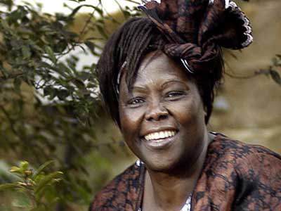 Honoring a Visionary Leader: WEDO Remembers Wangari Maathai - WEDO