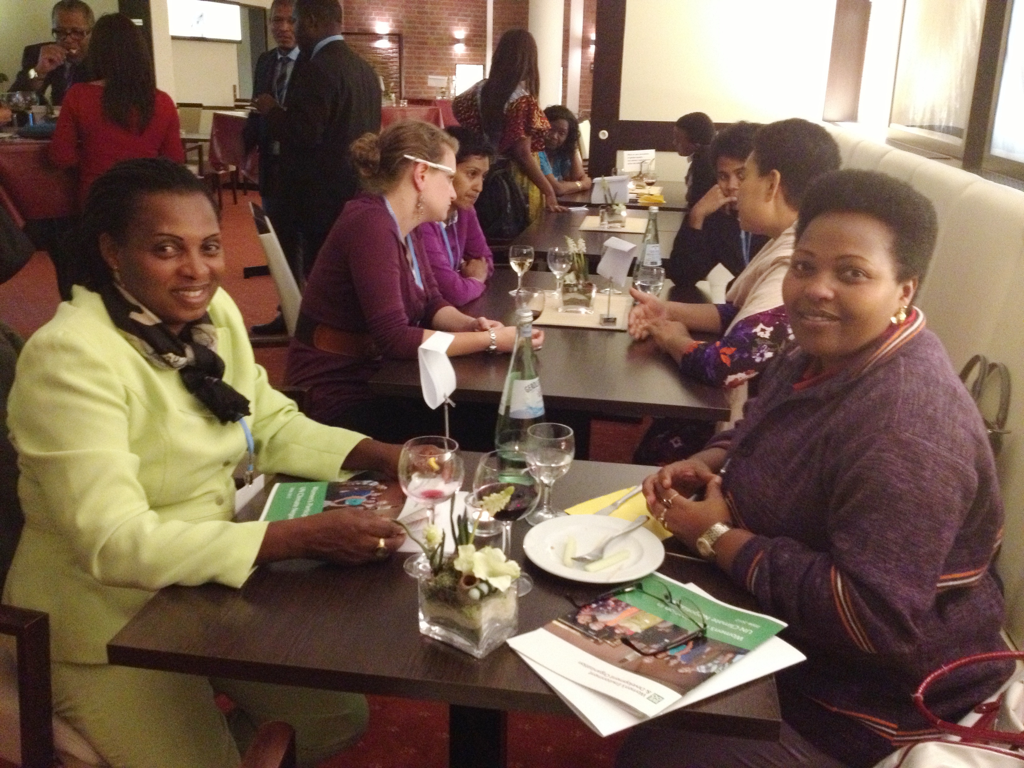 UNFCCC Women Delegates Networking Reception - Recap and Photos - WEDO