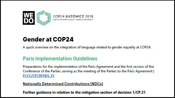 Gender in the COP24 Outcomes - WEDO