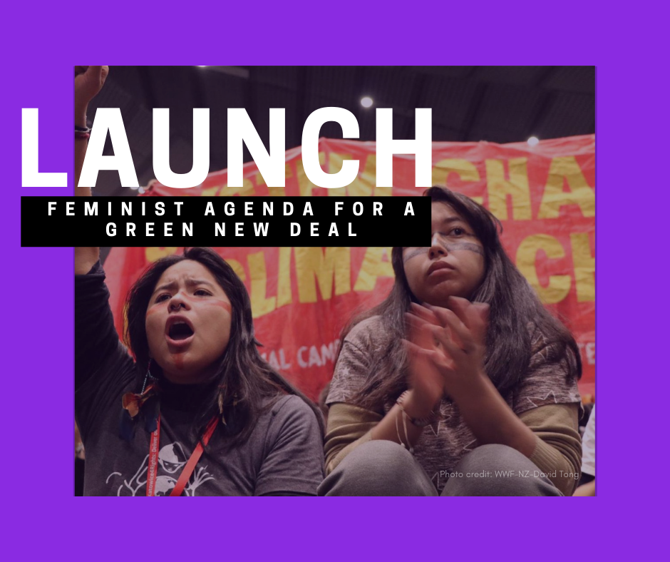 WEDO Events at 2019 UN Climate Summit - WEDO