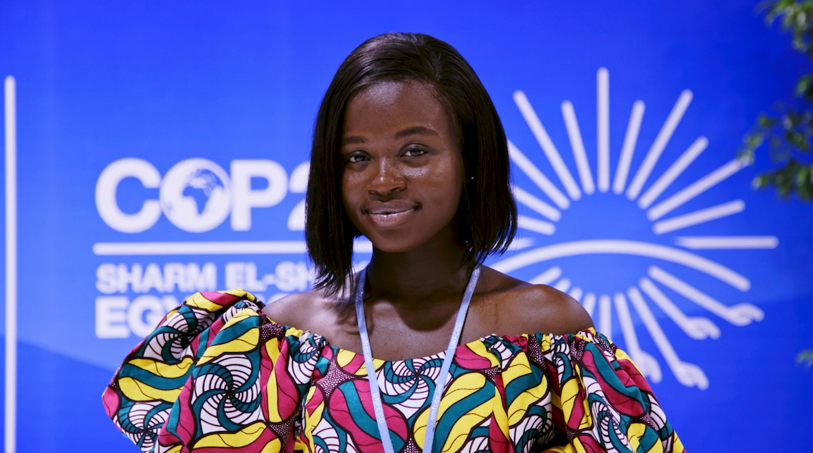 Who Decides: Women’s Participation in the UN Climate Change Convention ...