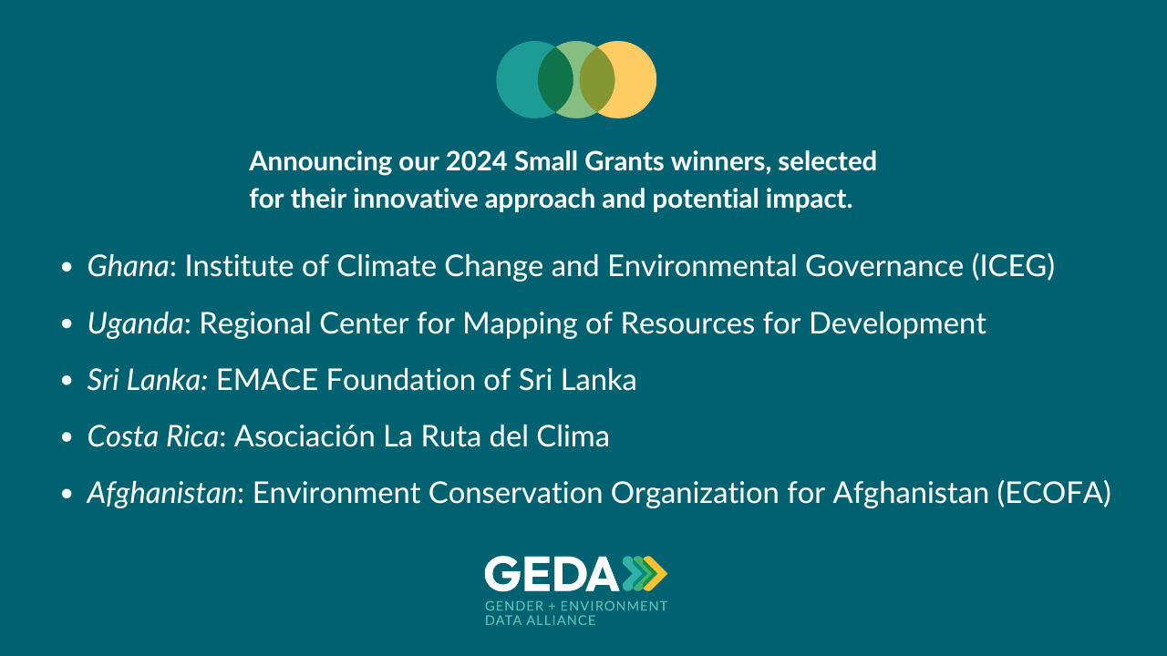 Announcing the Inaugural GEDA Small Grants Awardees - WEDO