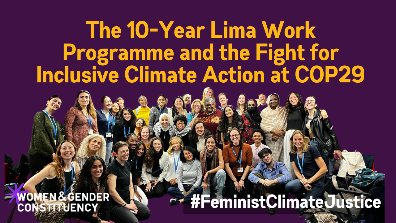 The 10-Year Lima Work Programme and the Fight for Inclusive Climate Action at COP29 - WEDO